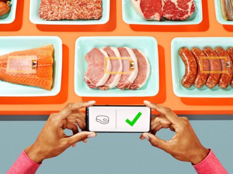 Food Freshness Indicators | Senoptica.com